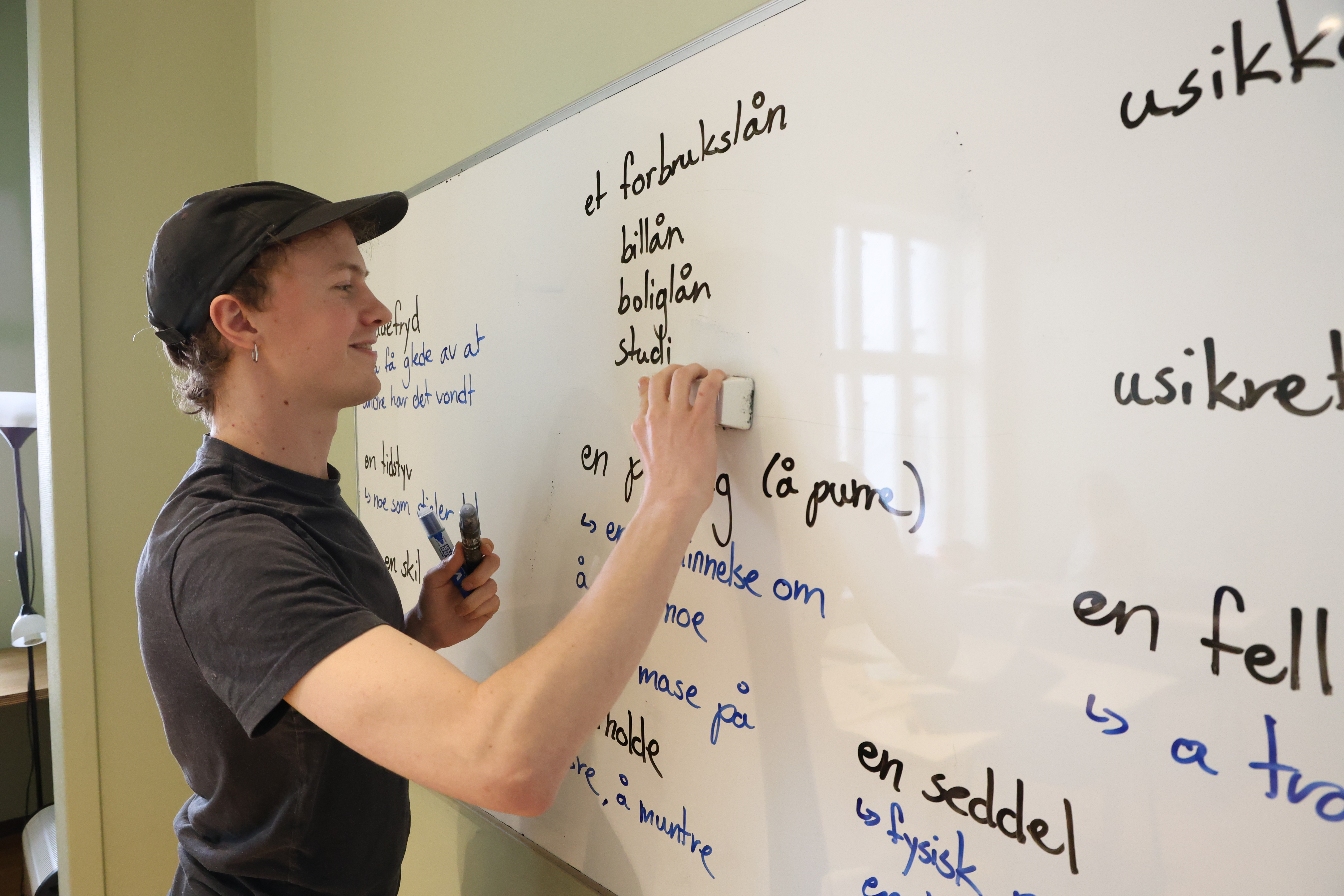 Advanced Package (B2 & C1 level) | Speak Norsk