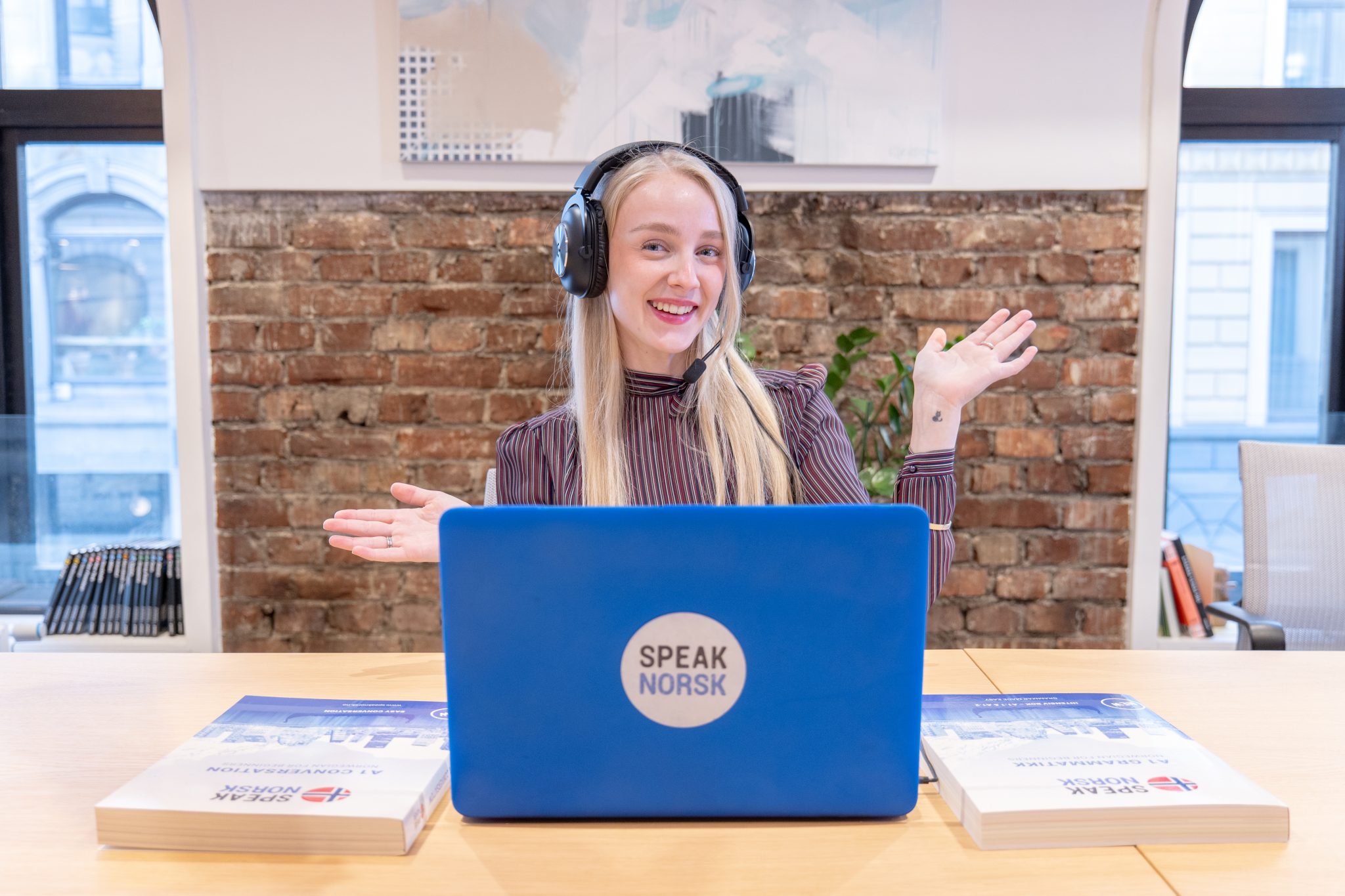 Virtual Viking Offer (A0-B2) | Speak Norsk